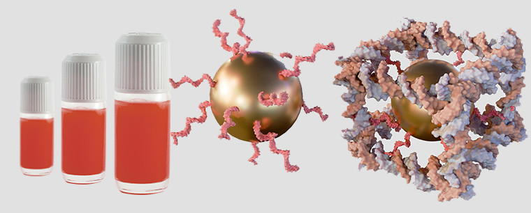 Custom Gold Nanoparticle Conjugation - CD Bioparticles