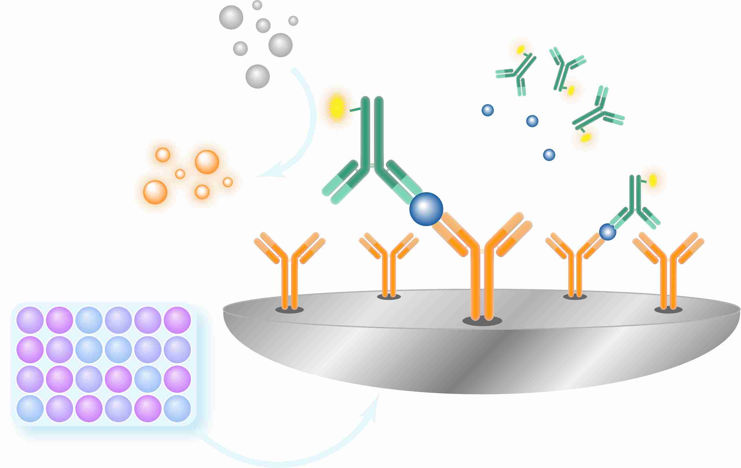 Customized Multiple Assays Development with Magnetic COOH Particles - CD Bioparticles
