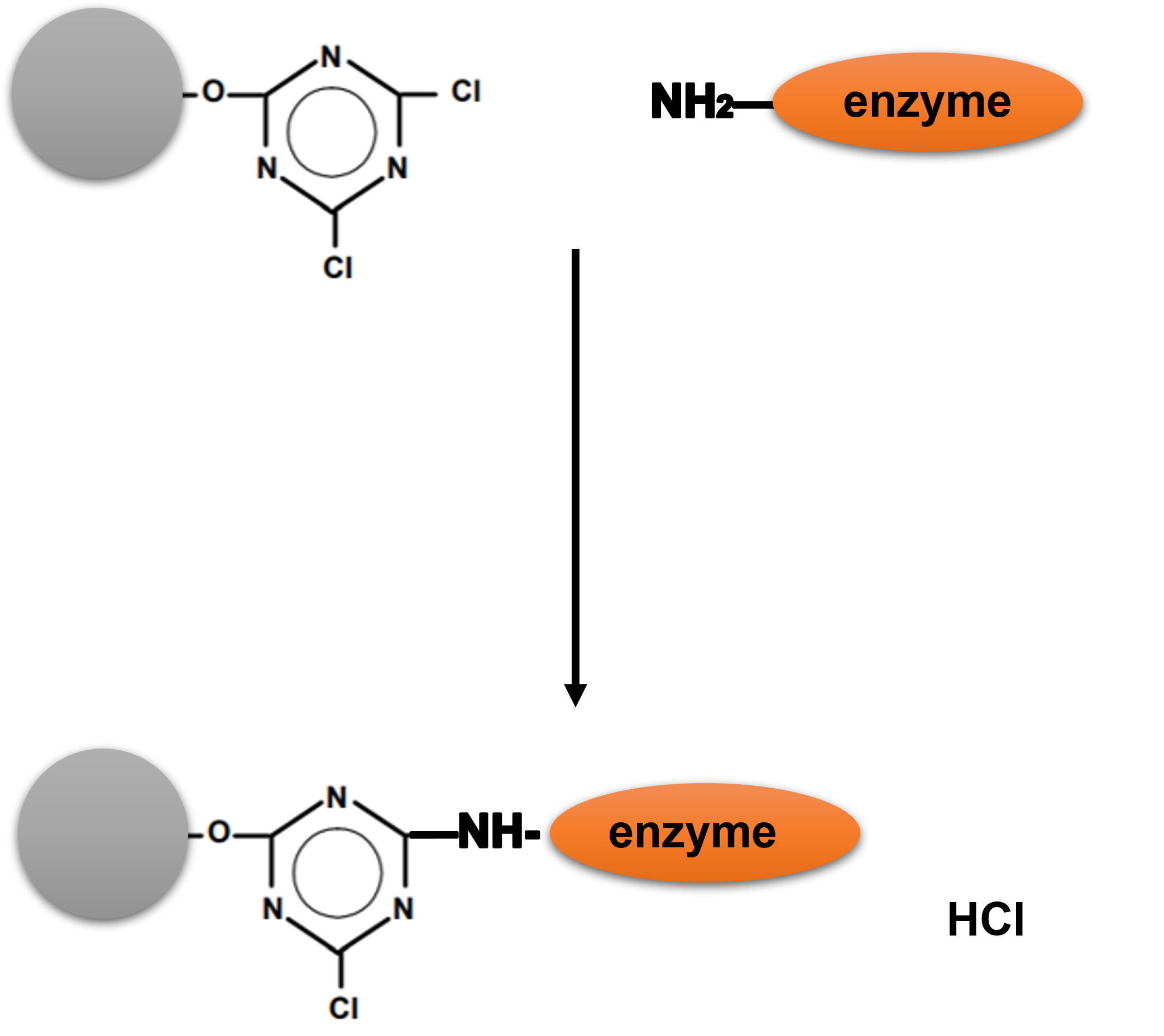 Cyanuric Magnetic Particles - CD Bioparticles