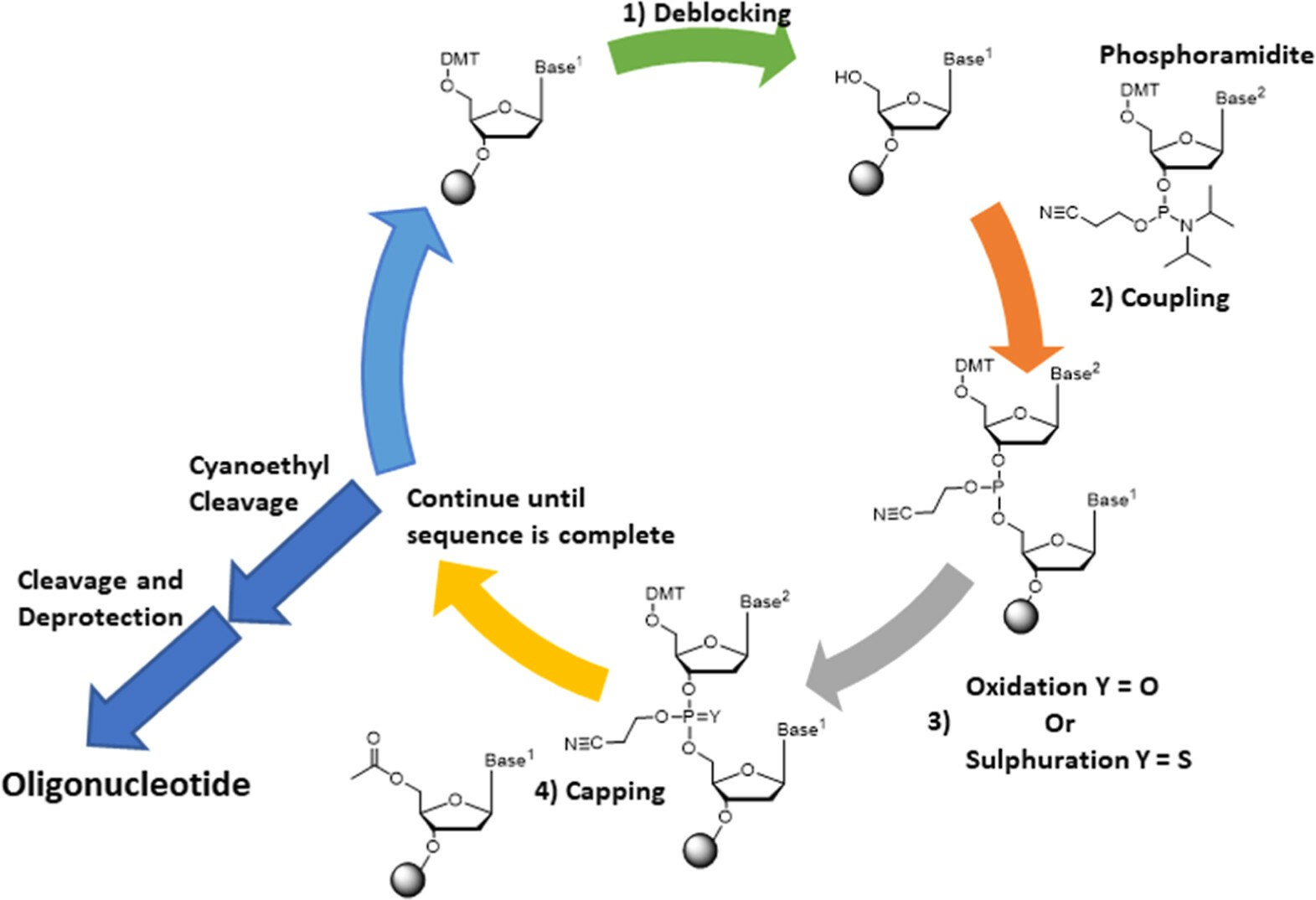 Preloaded Resins for Oligonucleotide Synthesis - CD Bioparticles