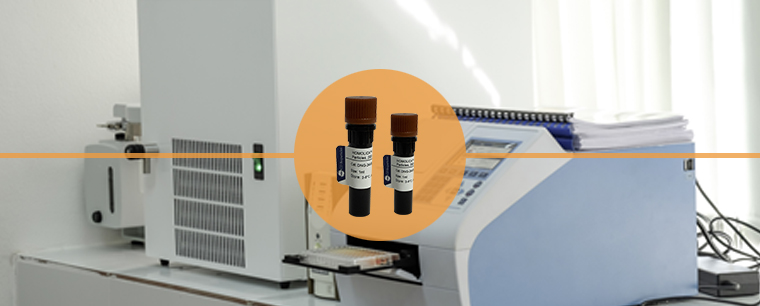 Cytokine Assay Kits & Detection | Custom Development - CD Bioparticles