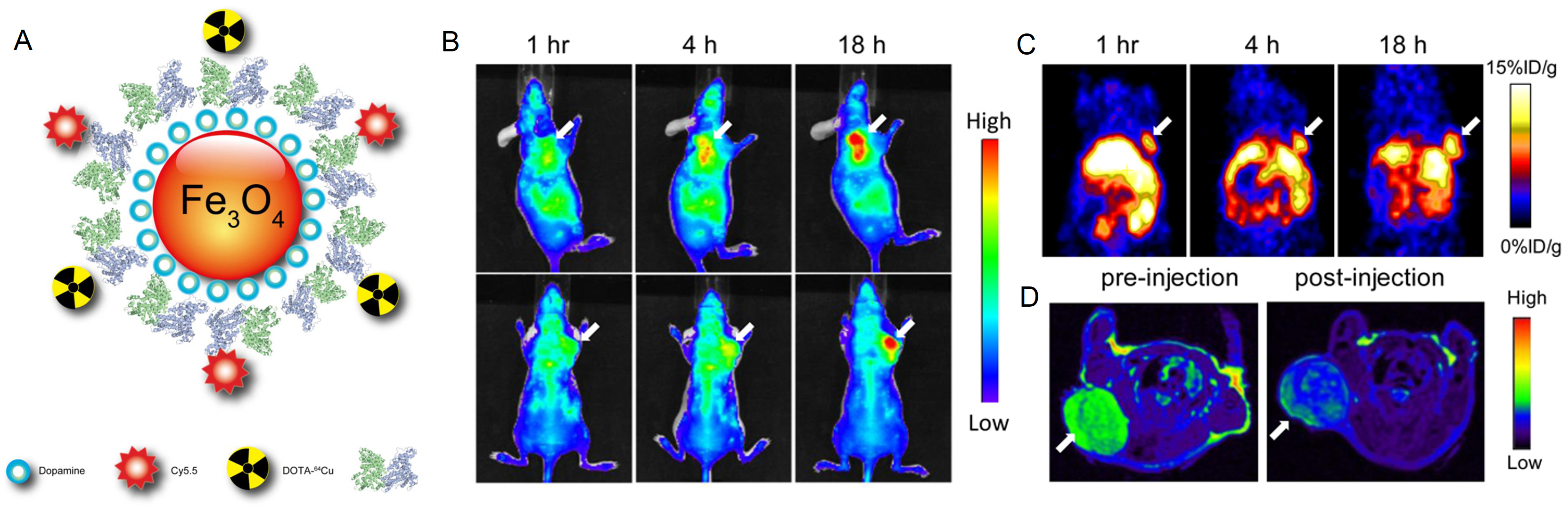 DOTA Magnetic Particles - CD Bioparticles