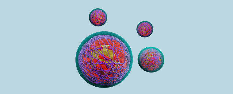 Customized Nanoparticles for Targeted Drug Delivery - CD Bioparticles