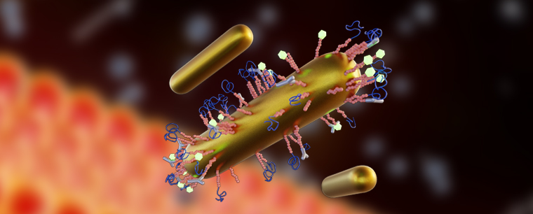 Customized Nanoparticles For Targeted Drug Delivery Cd Bioparticles