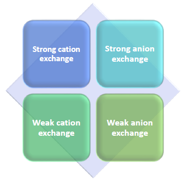 Ion Exchange Chromatography Resins for Molecular Purification - CD ...