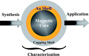 Gold Coated Magnetic Nanoparticles - CD Bioparticles