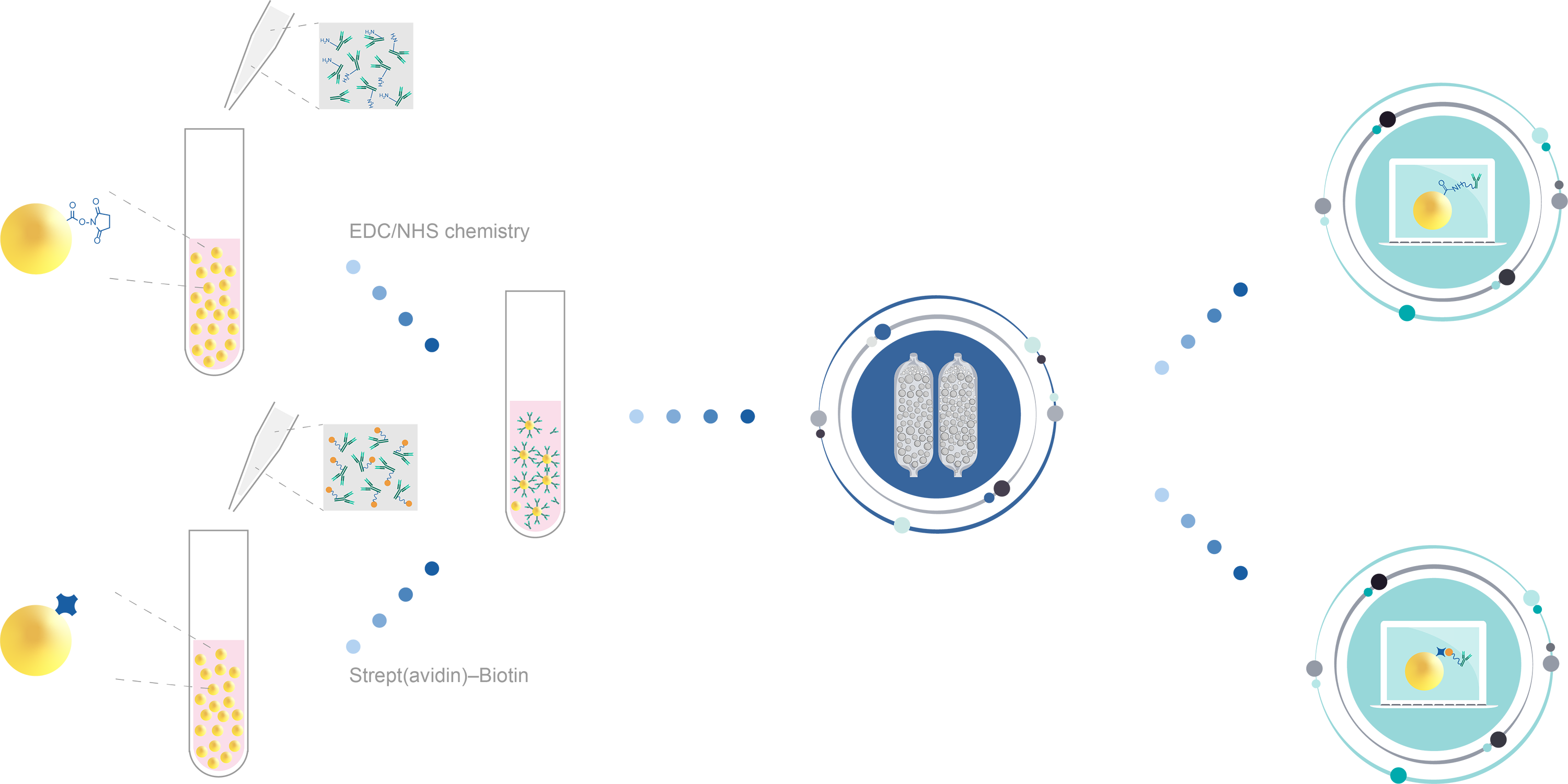 Gold Conjugation Services - CD Bioparticles