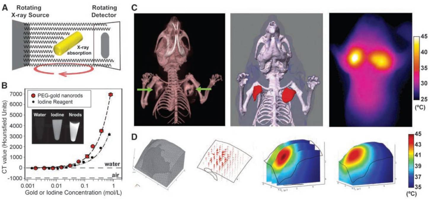 Gold Nanoparticles as CT Contrast Agents - CD Bioparticles