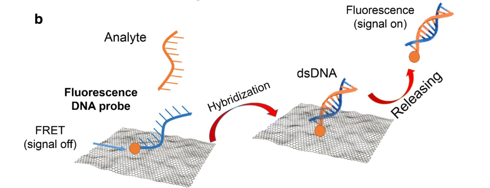 Graphene Based Biosensors - CD Bioparticles