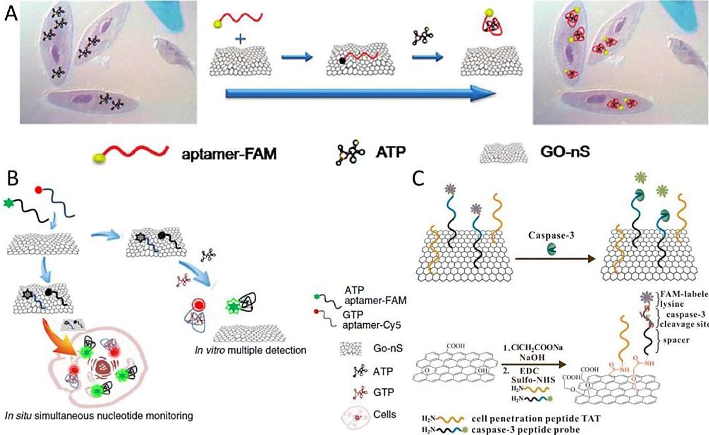 Graphene Based Biosensors - CD Bioparticles