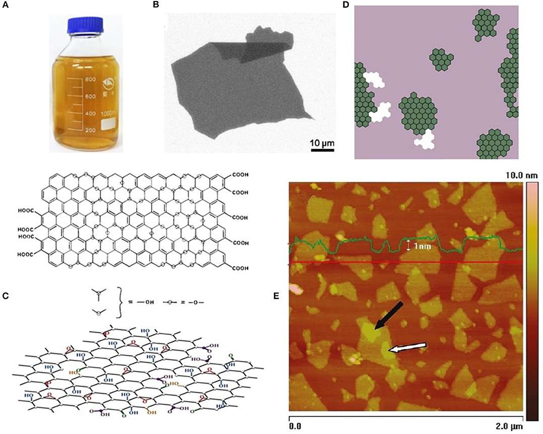 Graphene Oxide, GO - CD Bioparticles