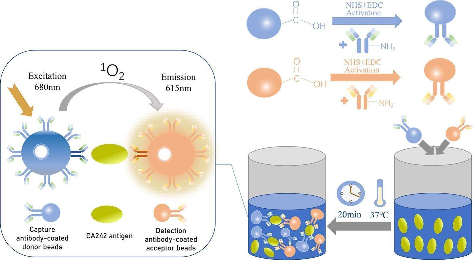 Homogeneous Chemiluminescence Particles - CD Bioparticles