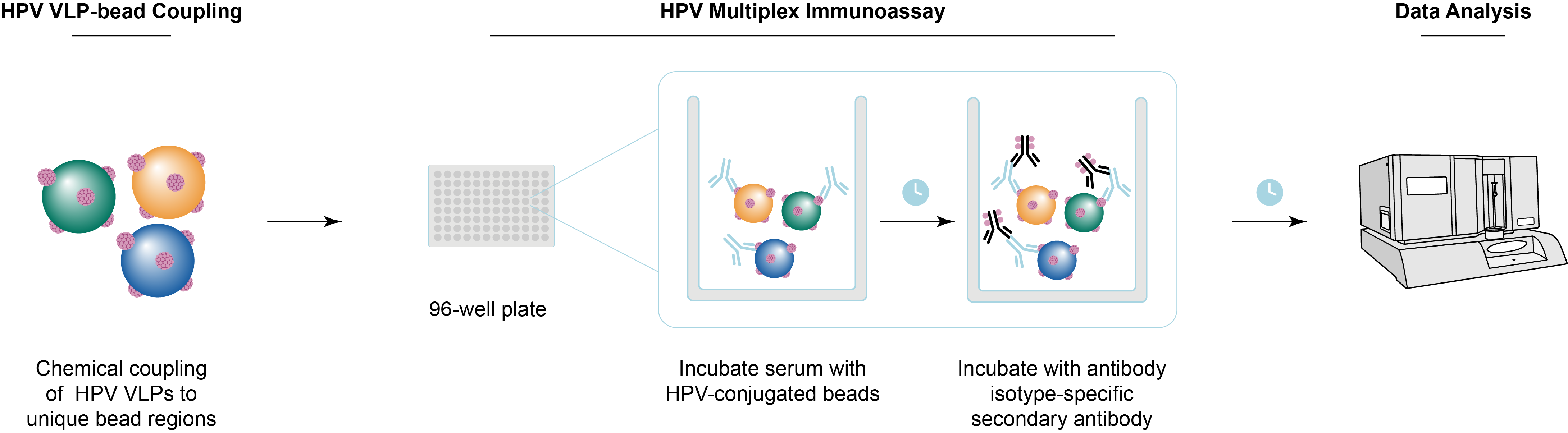 Multiplex Bead-based Immunoassay for HPV Profiling - CD Bioparticles