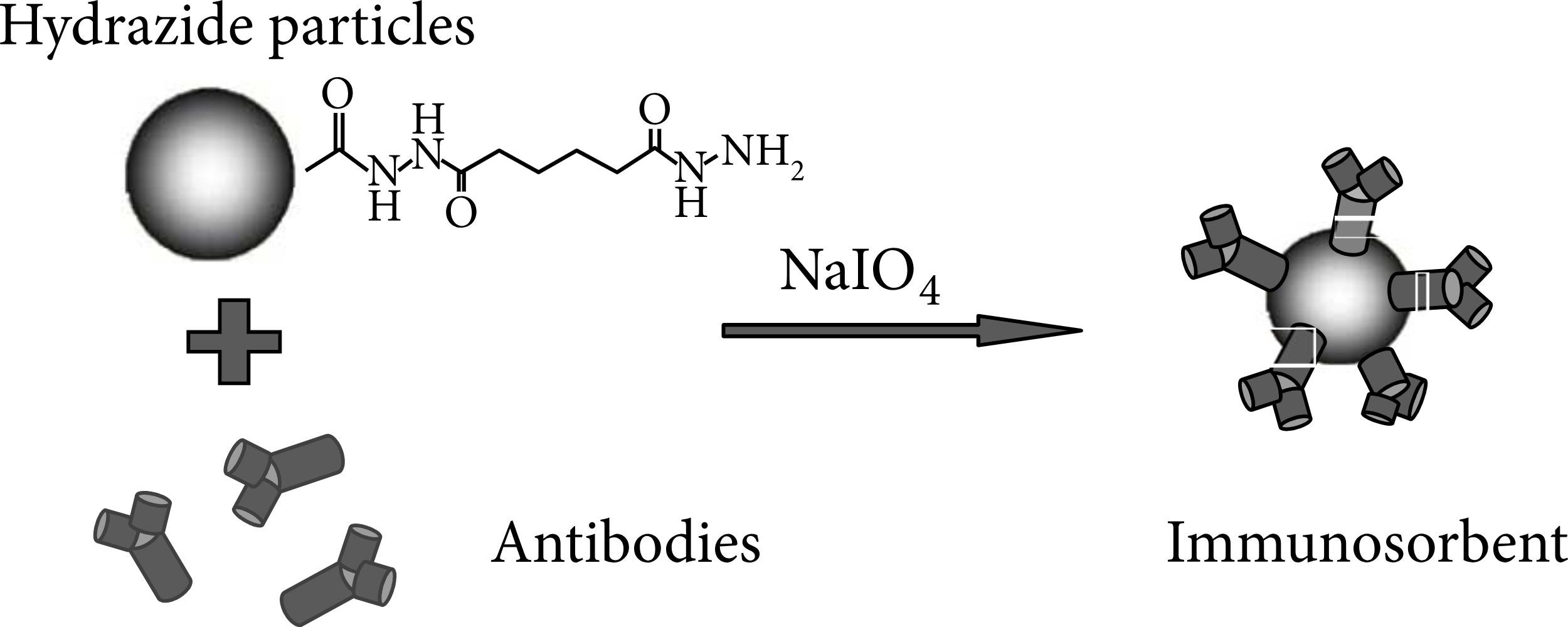 Hydrazide Magnetic Particles - CD Bioparticles