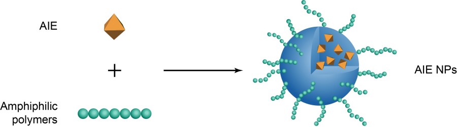 Polymer Particles for In Vivo Imaging - CD Bioparticles