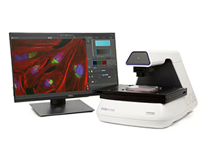 Magnetic Cell Isolation & Custom Beads - CD Bioparticles