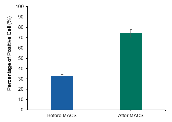 Magnetic Cell Isolation & Custom Beads - CD Bioparticles