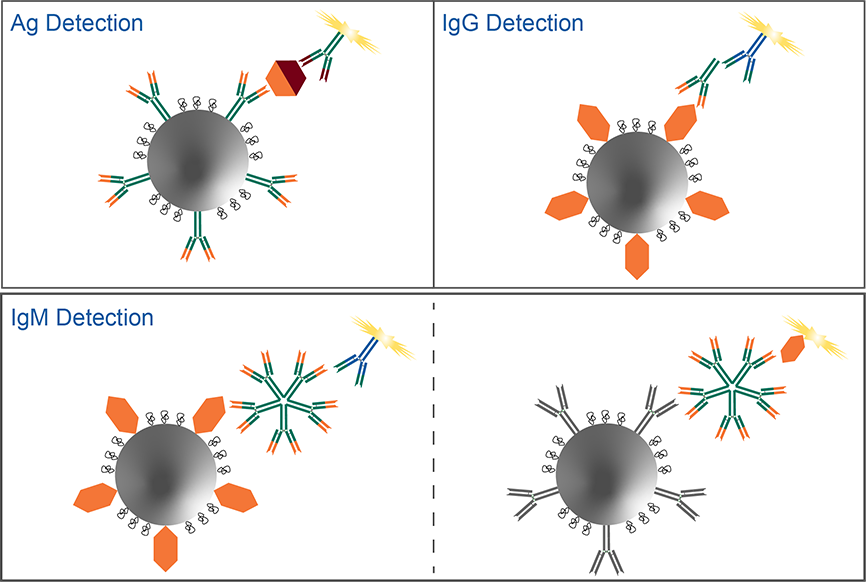 MPCLIA Development Service - CD Bioparticles
