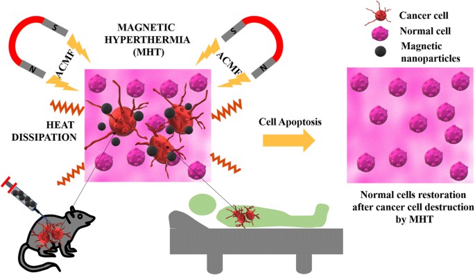 Probes for Magnetic Hyperthermia Therapy - CD Bioparticles