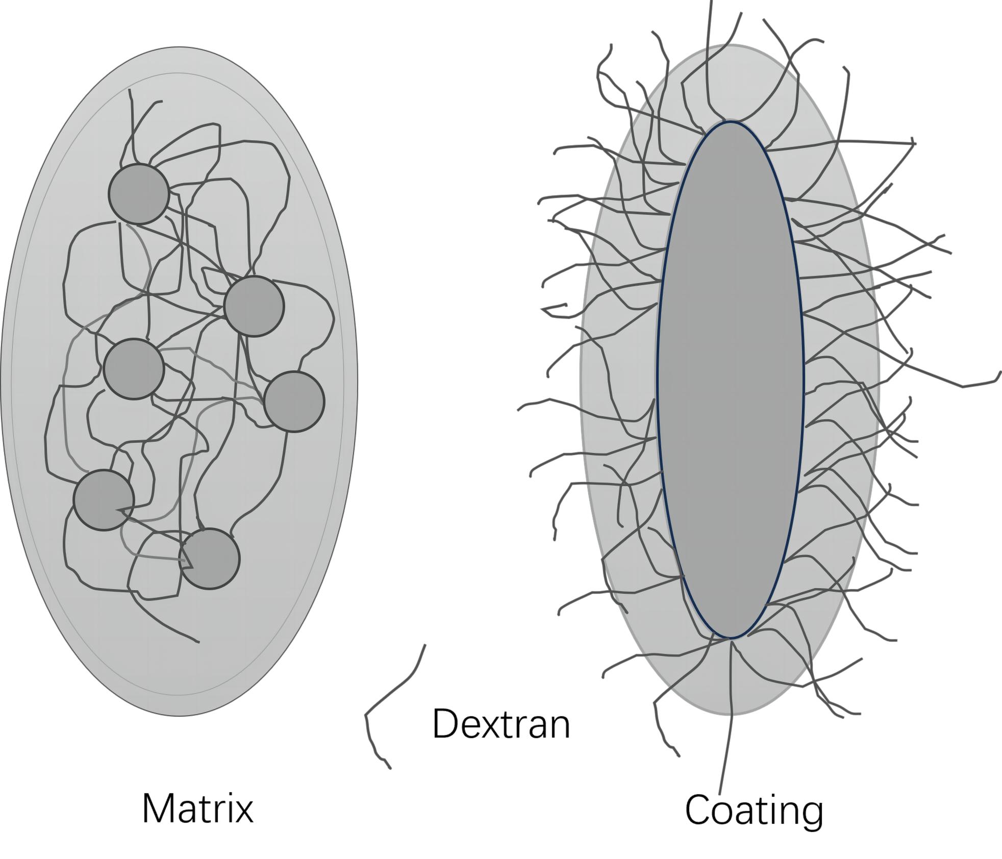 Probes for Magnetic Hyperthermia Therapy - CD Bioparticles