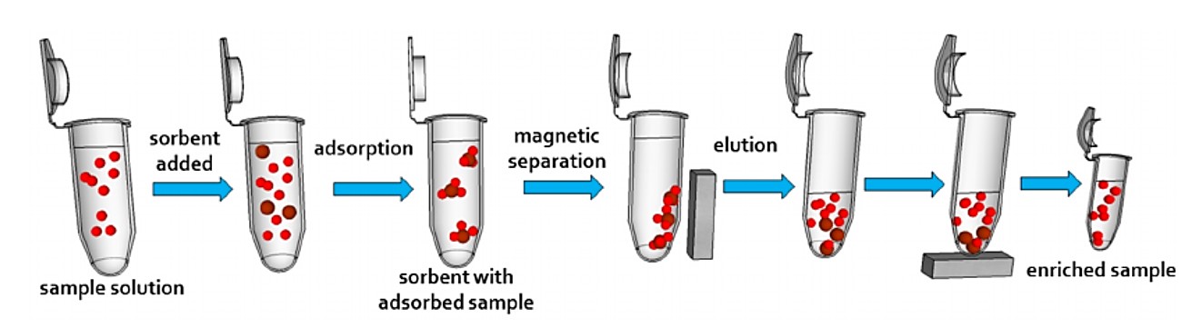 Magnetic Particles for MSPE - CD Bioparticles