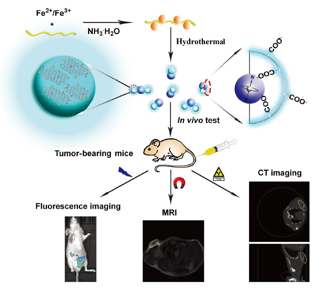 Magnetic QDs for Bioimaging - CD Bioparticles