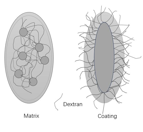 Magnetic Particles as MRI Contrast Agents - CD Bioparticles
