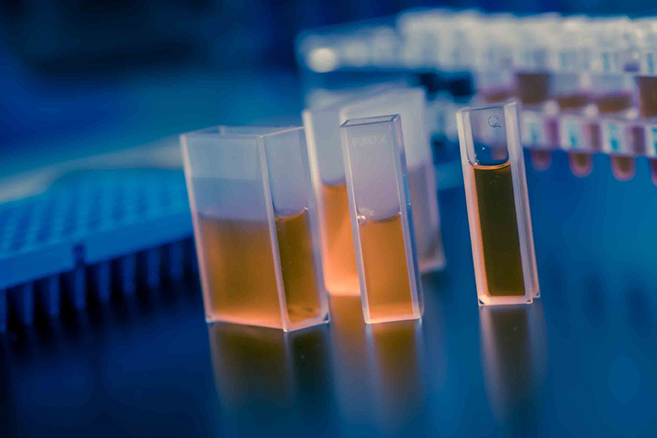Nanoparticle Analysis & Characterization Services - CD Bioparticles