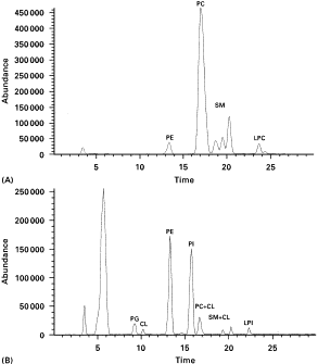 Normal Phase Chromatography Resins - CD Bioparticles