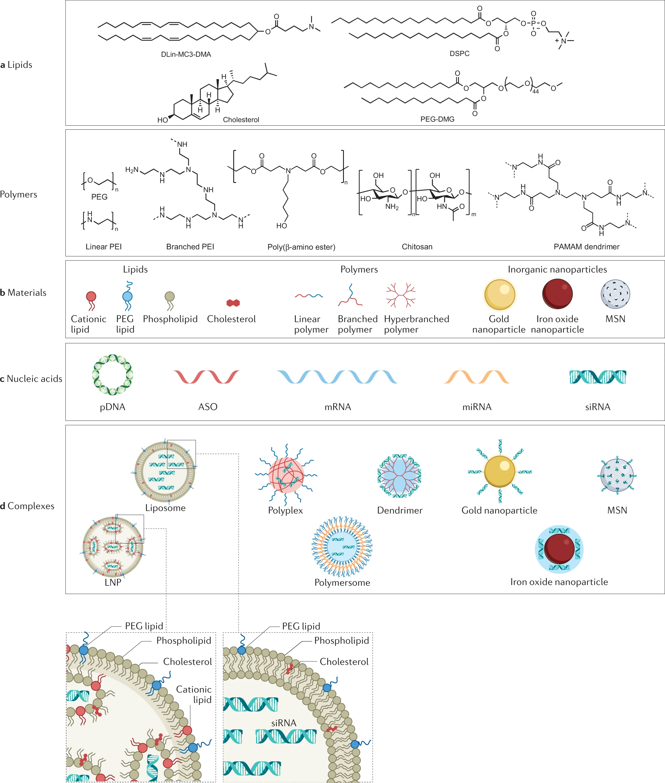 Tailored Nucleic Acid Delivery Particle Synthesis - CD Bioparticles
