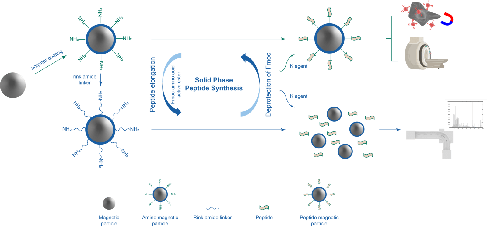 Organic Solvent-Resistant Polymer Magnetic Beads - CD Bioparticles