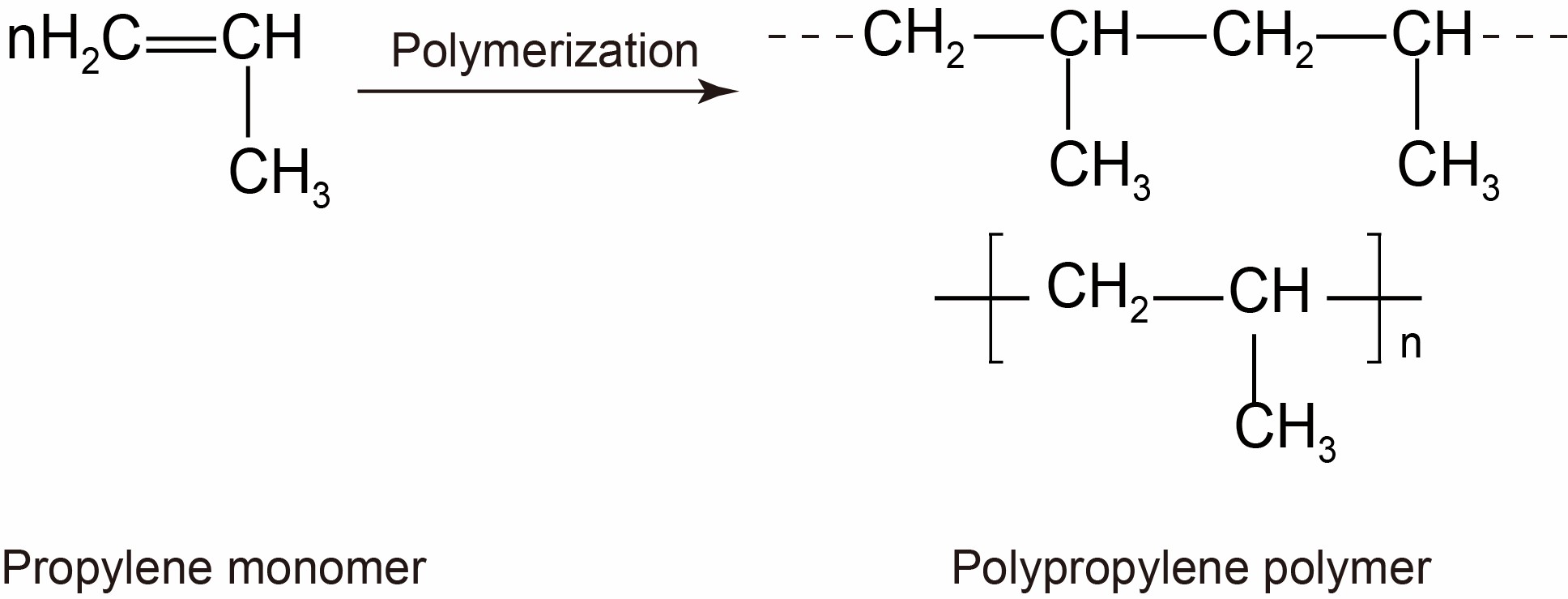 PP Nanoparticles - CD Bioparticles