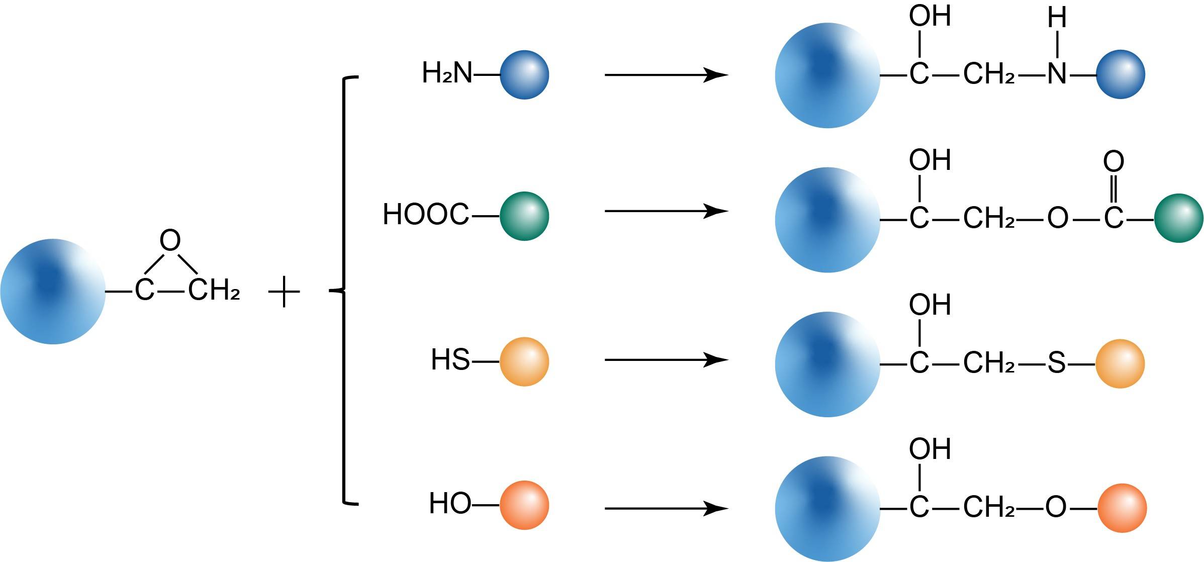 Pre-Activated Agarose Particles for Biomolecule Immobilization - CD ...