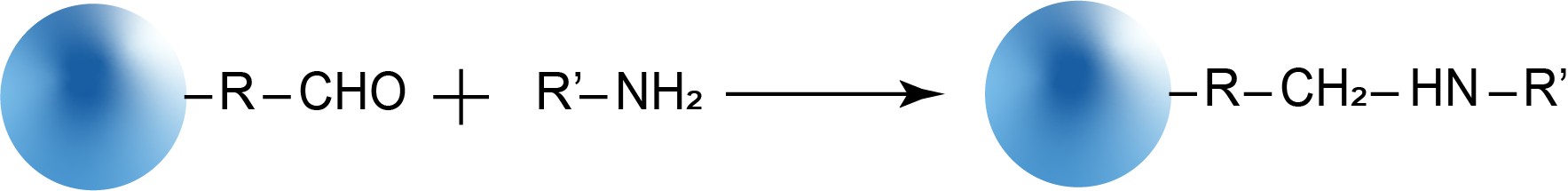 Pre-Activated Agarose Particles for Biomolecule Immobilization - CD ...