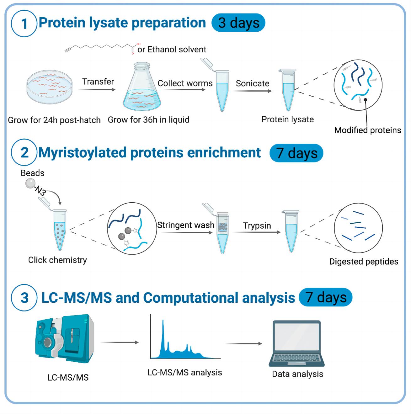 Protein Labeling, Isolation and Purification Kit - CD Bioparticles