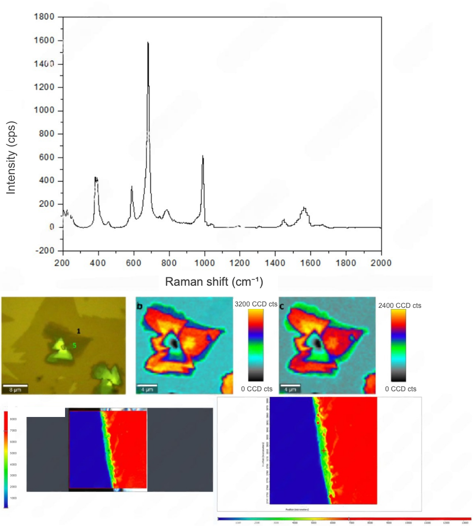 Raman Spectroscopy Testing Services - CD Bioparticles