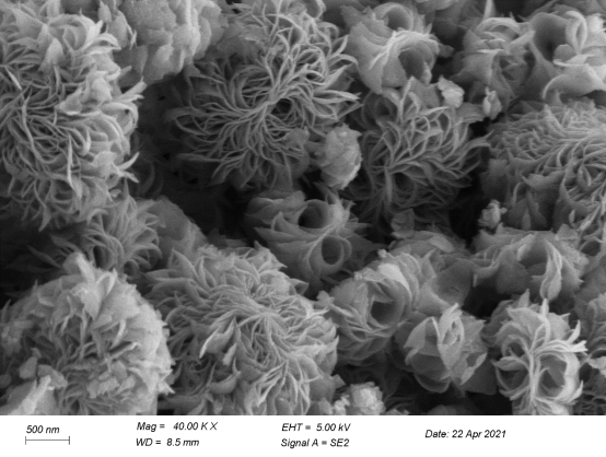 Scanning Electron Microscopy (SEM) Services - CD Bioparticles