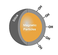 Silica-coated Magnetic Particles - CD Bioparticles