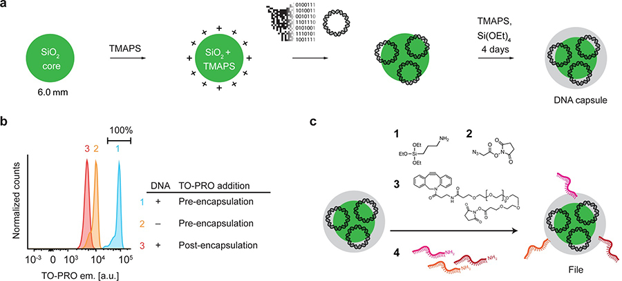 Silica Particles for DNA Data Storage - CD Bioparticles