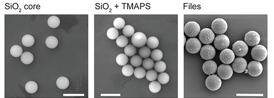 Silica Particles for DNA Data Storage - CD Bioparticles