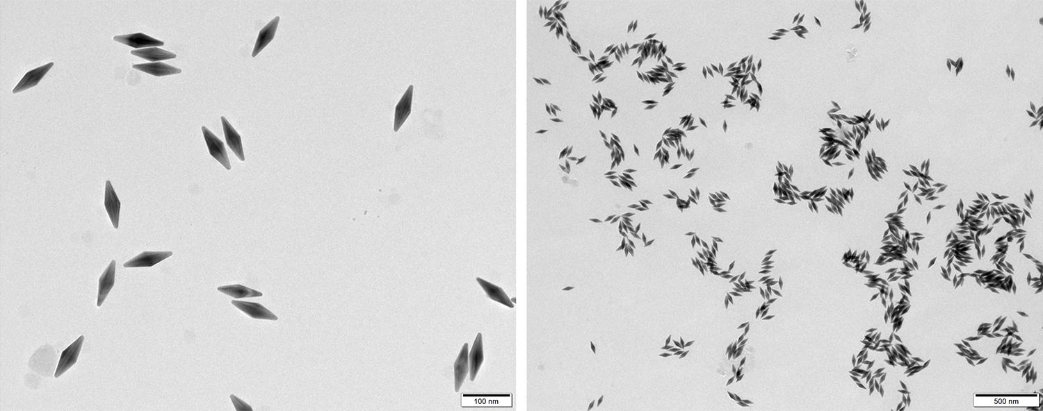 High-Resolution TEM Imaging Services - CD Bioparticles