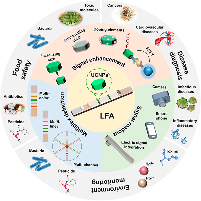 Upconversion Nanoparticle Lateral Flow Assay Development - CD Bioparticles