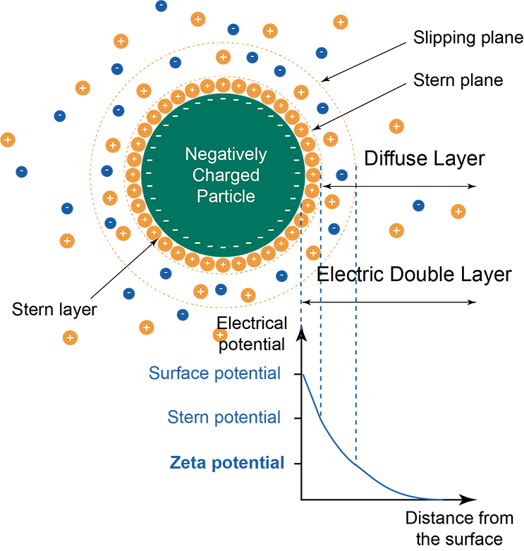 Zeta Potential Measurement Services - CD Bioparticles